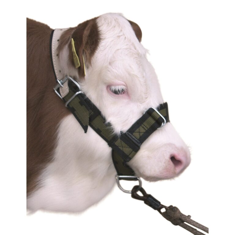 Cattle halters – Connacht Agri Supplies Ltd